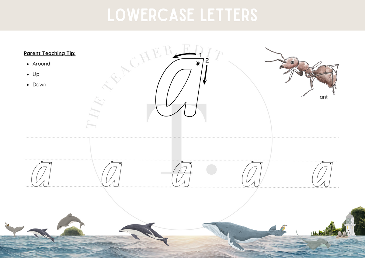 Lowercase Letters | MINI KIT – The Teacher Edit